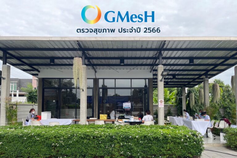 Welcome to GMesH